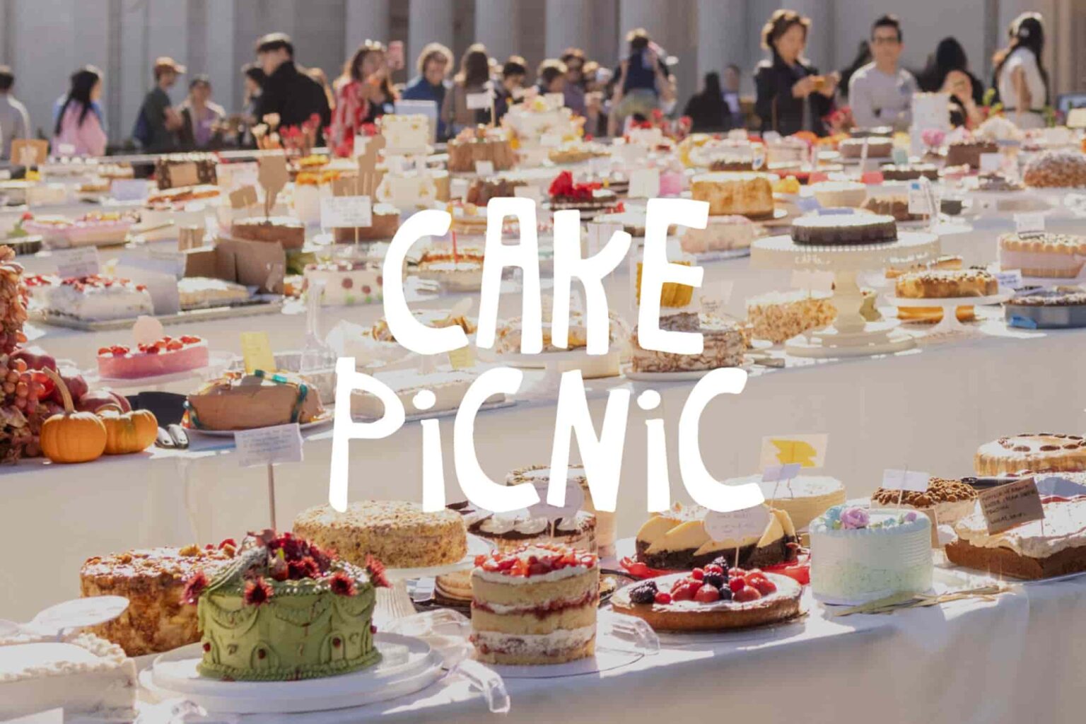 Cake Picnic - Beat Magazine