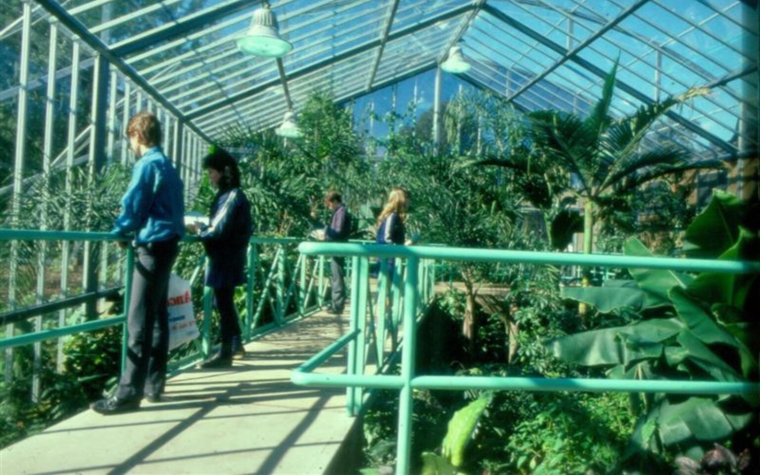 Melbourne Zoo celebrates 40 years of butterflies with giant bugs