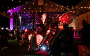 Williamstown is hosting a massive free winter solstice fire festival